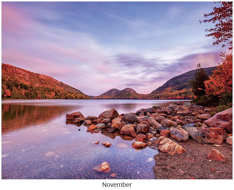 Scenic Seasons Wall Calendar | Bulk Wall Calendars | Posty Cards