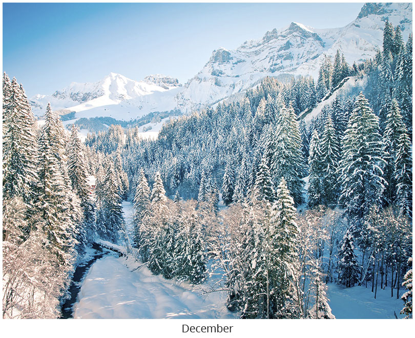 Scenic Seasons Wall Calendar | Bulk Wall Calendars | Posty Cards