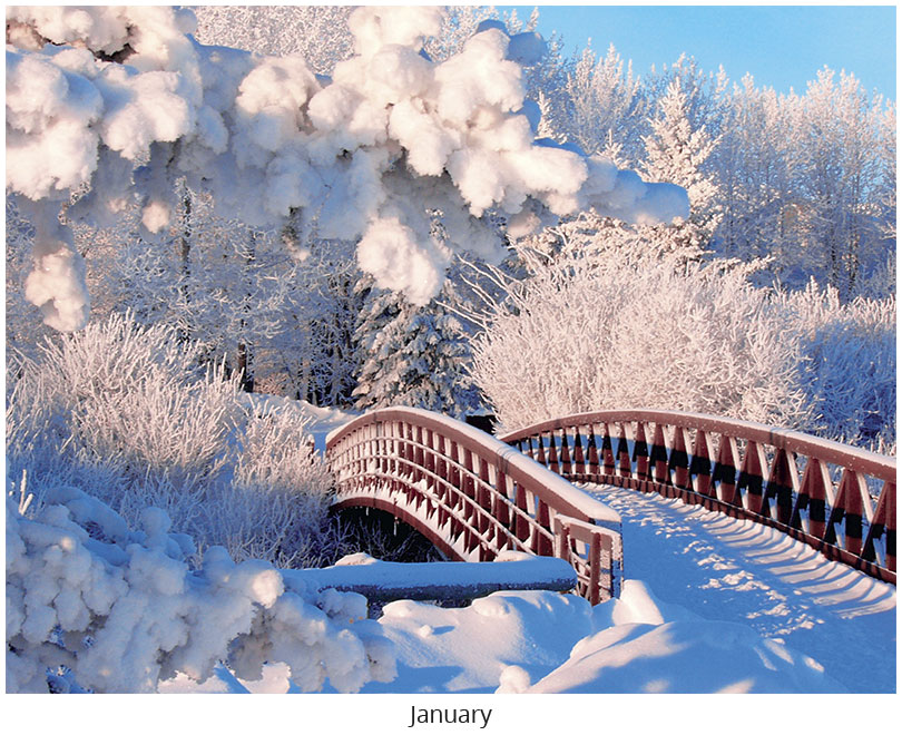 Scenic Seasons Wall Calendar | Bulk Wall Calendars | Posty Cards