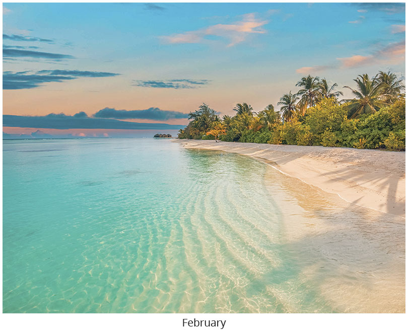 Premium Scenic Seasons Wall Calendar | Wall Calendars | Posty Cards