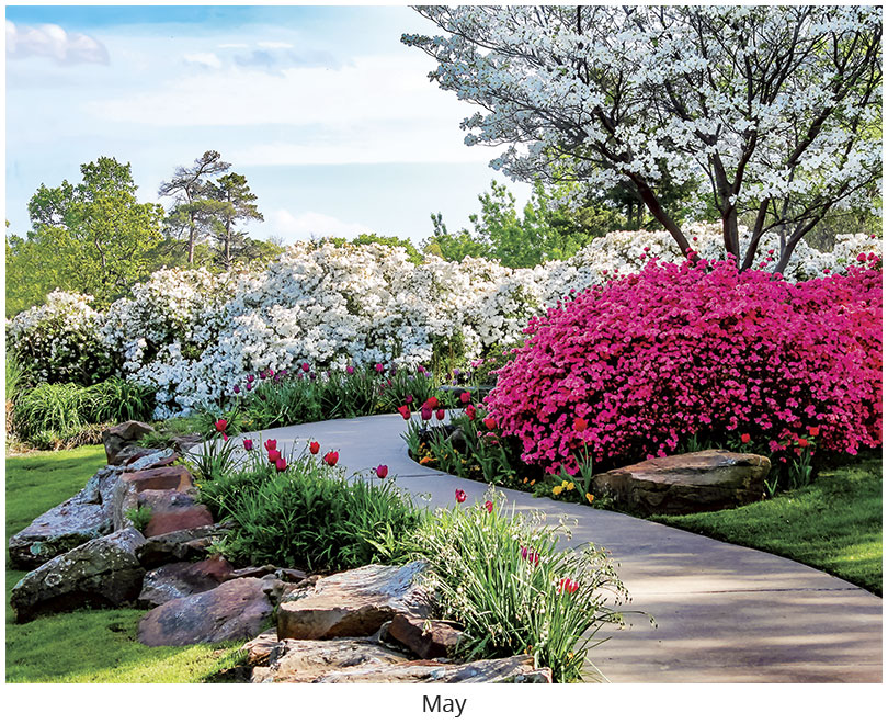 Scenic Seasons Wall Calendar | Bulk Wall Calendars | Posty Cards