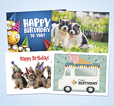 Birthday Card Assortment Packs - Posty Cards Inc.