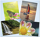 Birthday Card Assortment Packs - Posty Cards Inc.