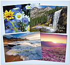 Birthday Card Assortment Packs - Posty Cards Inc.